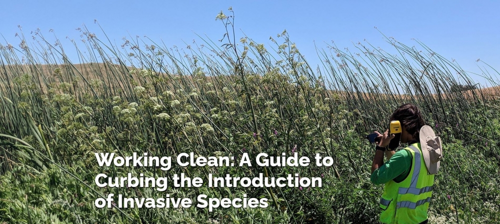 Working Clean: A Guide to Curbing the Introduction of Invasive Species