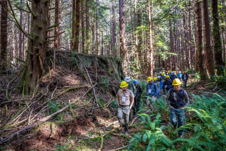 Less is More In Second Growth Forests